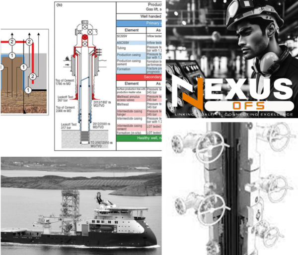 Well Integrity Courses | Nexus Integrity Management | NEXUSOFS
